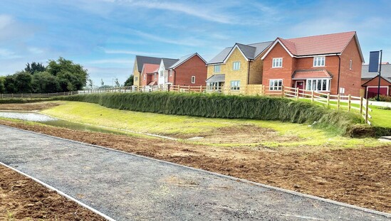 Rootlok vegetated wall system | GeoGrow | ESI External Works