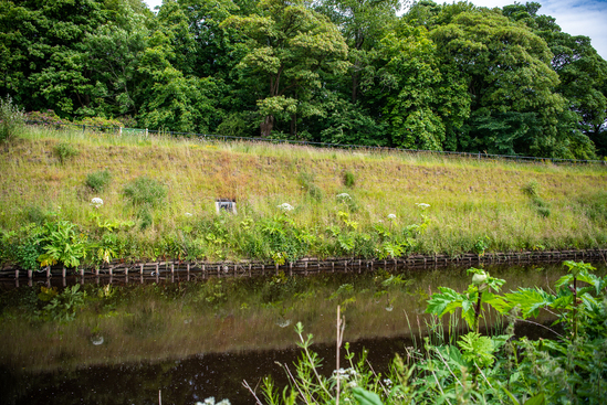 Vegetated wall system reinforces bank at Glasgow park | GeoGrow | ESI ...