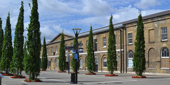 Mature fastigiate oak trees for Royal Arsenal, London | Lorenz von ...
