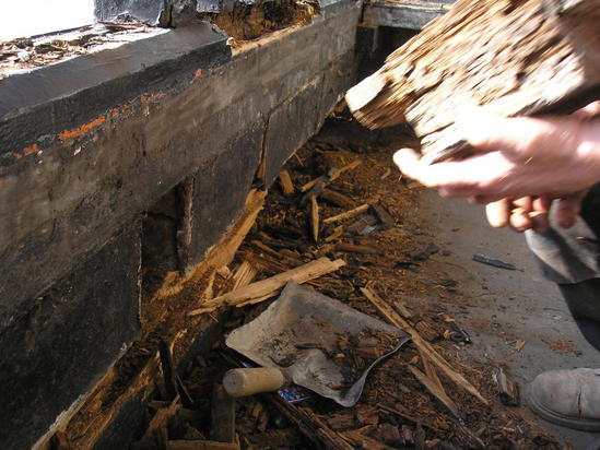 Wet rot solutions | Timberwise | ESI Building Design