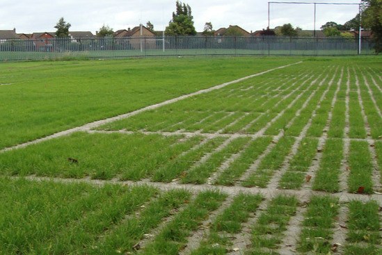 Grasscrete car park at Farmleigh, Dublin | Grass Concrete | ESI ...