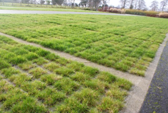 Grasscrete car park at Farmleigh, Dublin | Grass Concrete | ESI ...
