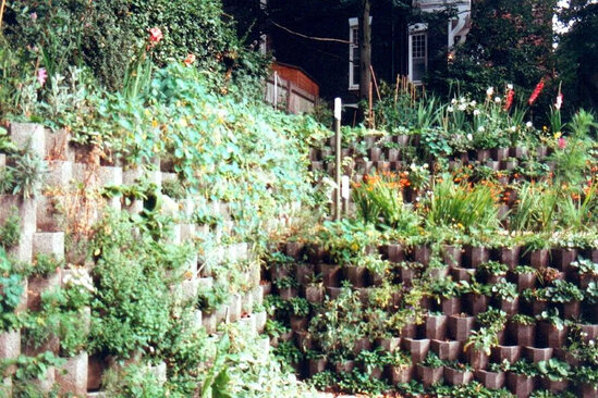 Betoflor low-height interlocking green wall system | Grass Concrete ...