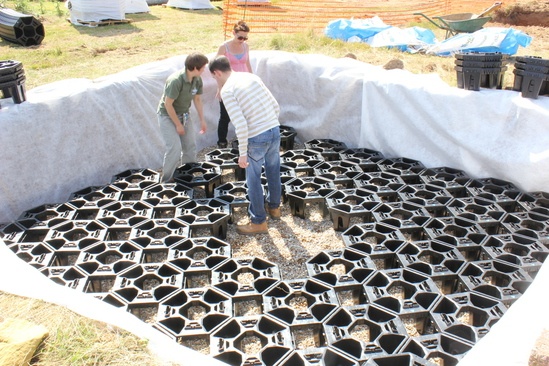 Greenwich University urban tree pit comparative study | GreenBlue Urban ...
