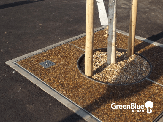 Arboresin - porous tree pit surface | GreenBlue Urban Ltd | ESI ...
