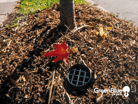 RootRain Urban irrigation and aeration system | GreenBlue Urban Ltd ...