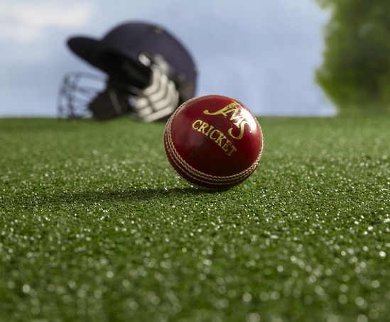 Practice Play woven cricket wickets and surfaces | Playrite | ESI ...