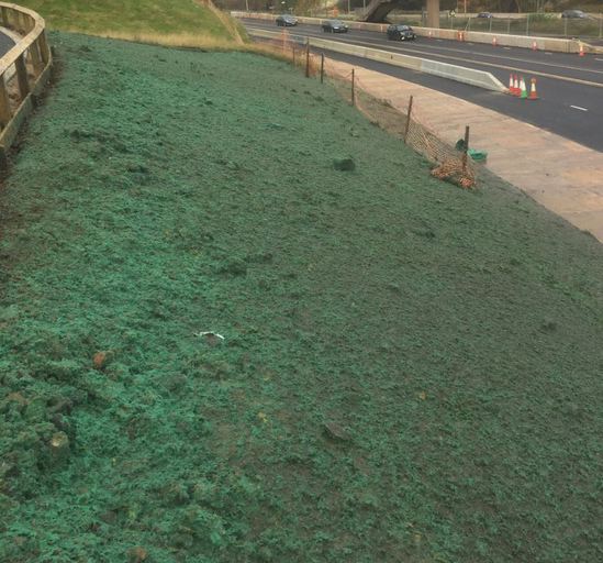 Road embankments hydroseeded with DOT mix | RMB Hydroseeding | ESI ...
