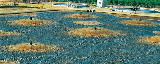 Aqua-Lator® surface aerators | Evoqua Water Technologies | ESI Enviropro