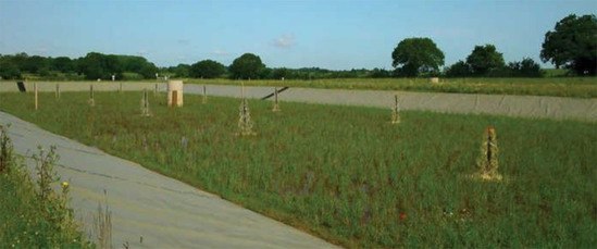 Ferric sludge reed bed treatment for potable water | ARM Ltd | ESI ...