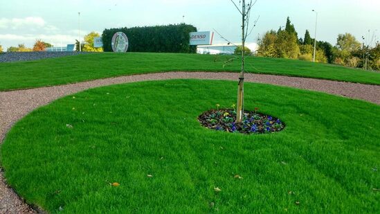 Steel edging rejuvenates Hortonwood Roundabout | EverEdge | ESI ...