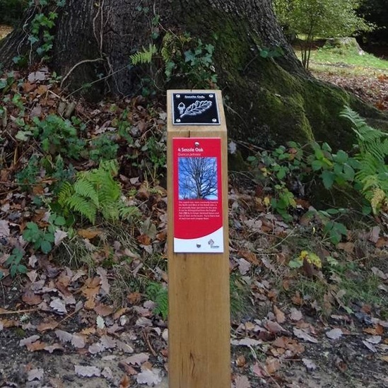 Waymarker posts for activity trails | Fitzpatrick Woolmer | ESI ...