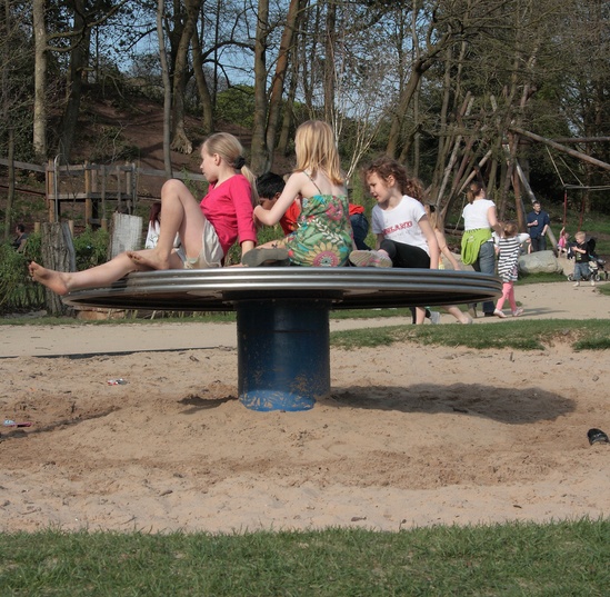 7.26000 Rotating Disc | Timberplay | ESI External Works