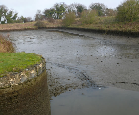 Biomanipulation | Aquatic Engineering | ESI External Works