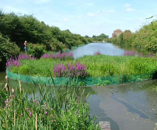 Floating reedbeds | AquaticEngineering | ESI Enviropro