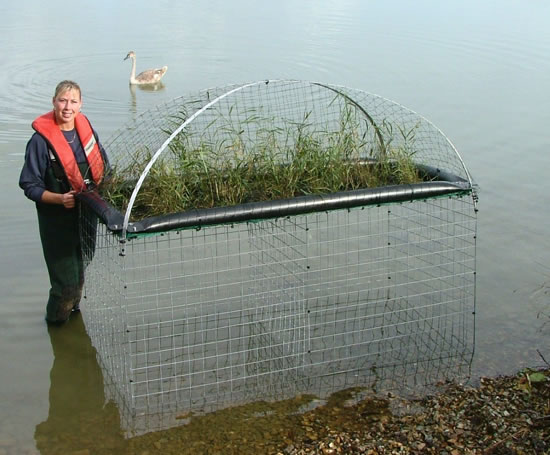 Floating reedbeds | Aquatic Engineering | ESI Enviropro
