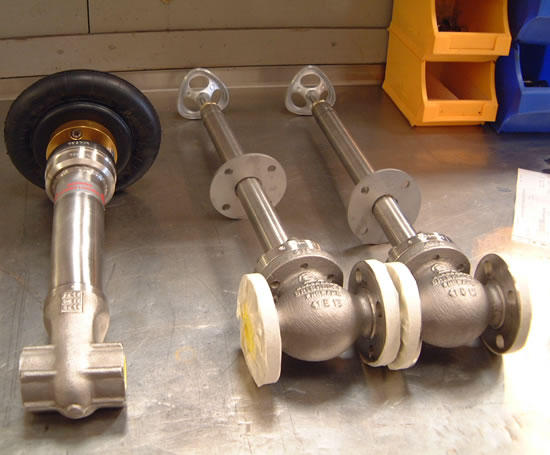 Stainless steel extended spindle globe valve Series 9201 | Blackhall ...