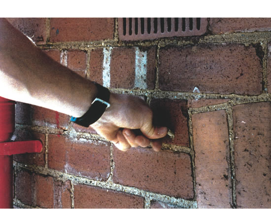 Screwties® wall ties | Bluebird Fixings | ESI Building Design