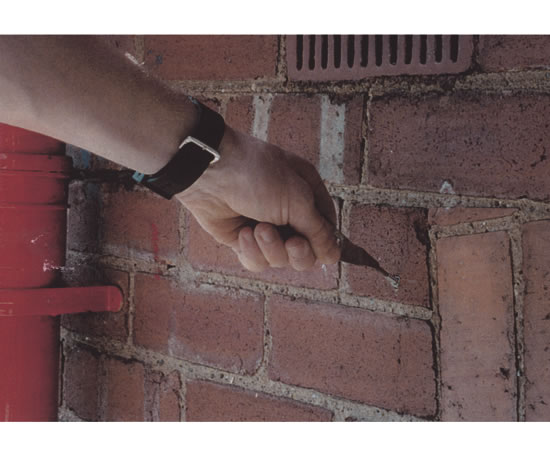 Screwties® wall ties | Bluebird Fixings | ESI Building Design