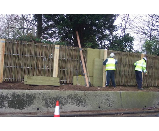 Green Barrier™, John Radcliffe Hospital, Oxford | Cheviot Trees | ESI ...