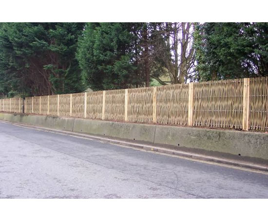 Green Barrier™, John Radcliffe Hospital, Oxford | Cheviot Trees | ESI ...