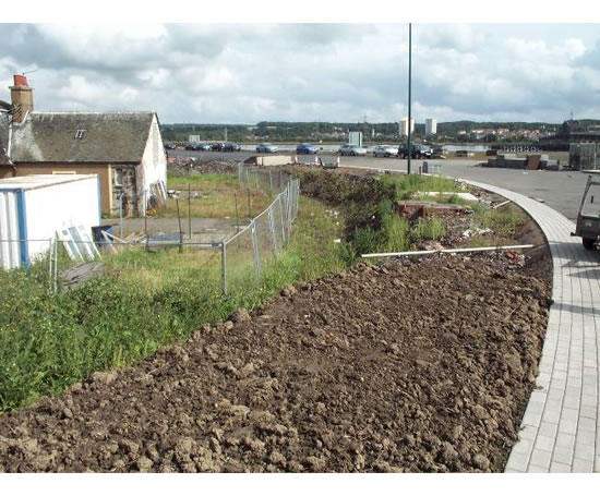 Green Barrier™, Kincardine Bridge | Cheviot Trees | ESI External Works