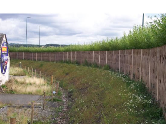 Green Barrier™, Kincardine Bridge | Cheviot Trees | ESI External Works