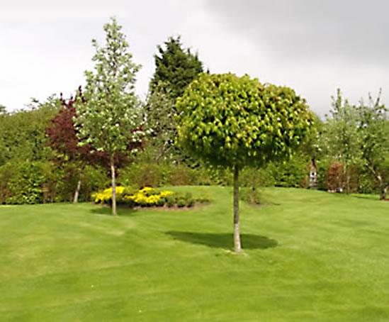 Pm 90 Coastal Grass Seed Mix Dlf Seeds Esi External Works