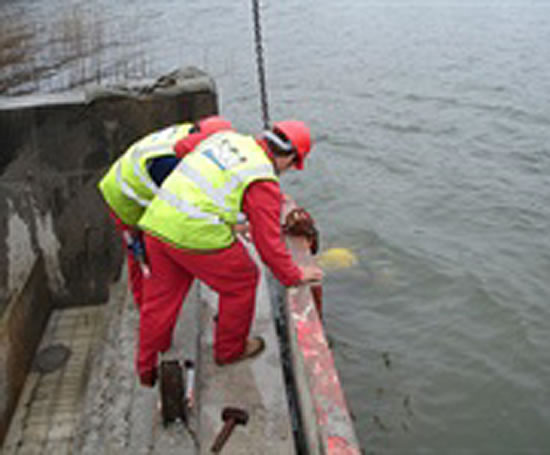 Commercial diving services | Edwards Diving Services (EDS) | ESI ...