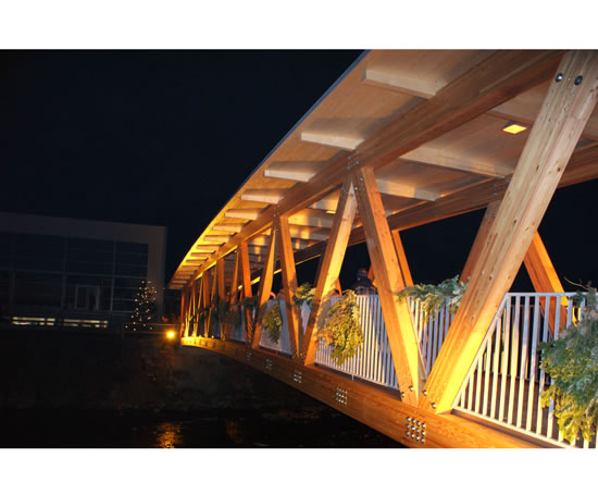 Larch glulam beams for roof frames | Rubner Holzbau | ESI Building Design