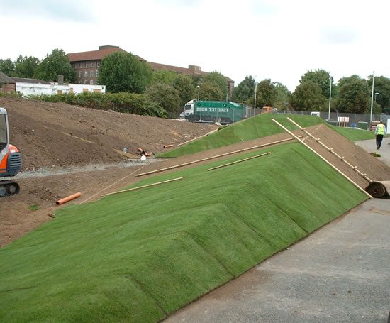 Soil-less turf for angled landscape - Laban Dance Centre | Lindum Turf ...