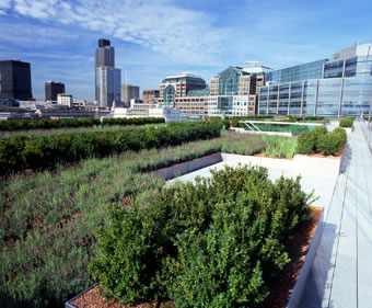 Landscaping, Bishops Square, Spitalfields | Willerby Landscapes | ESI ...