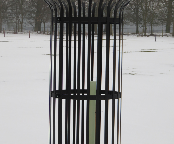 Circular, vertical bar tree guards | Paddock Fencing | ESI External Works