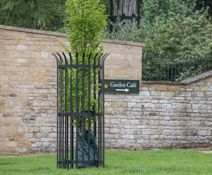Circular, vertical bar tree guards | Paddock Fencing | ESI External Works
