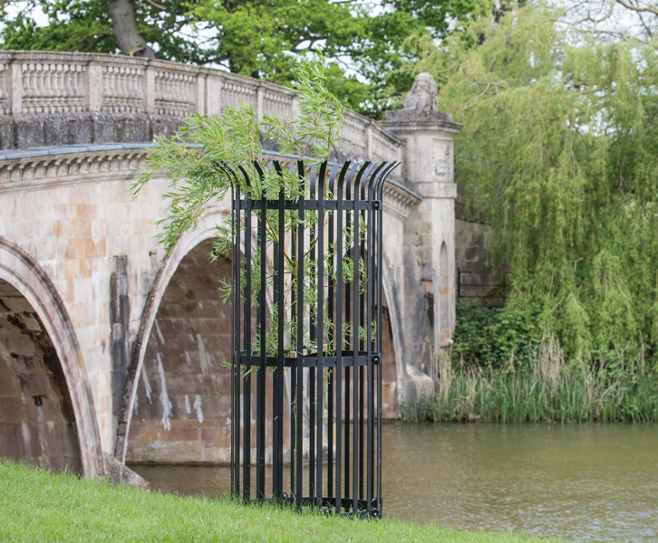 Circular, vertical bar tree guards | Paddock Fencing | ESI External Works