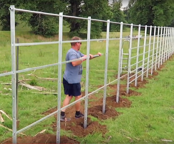 Deer fencing and tree guards for historic country estate | Paddock ...