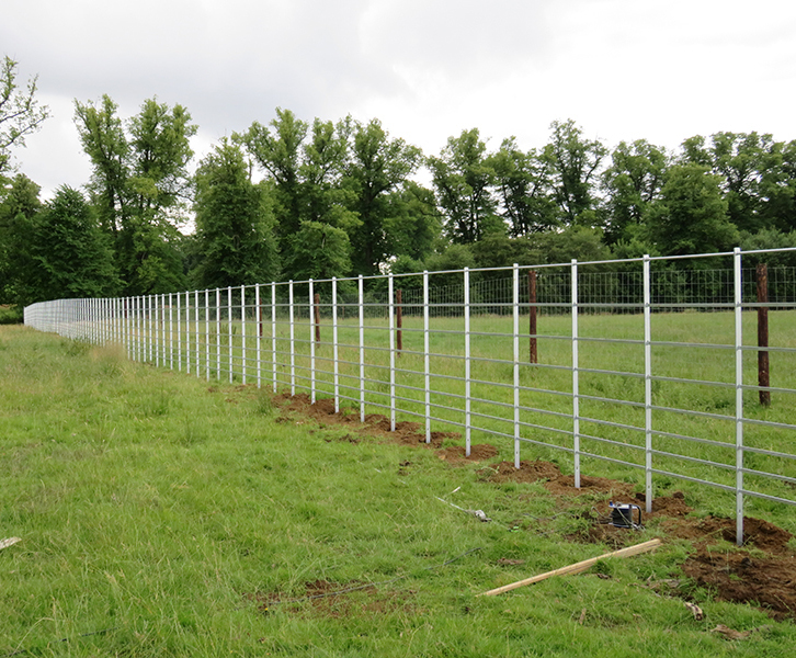 Deer fencing and tree guards for historic country estate | Paddock ...