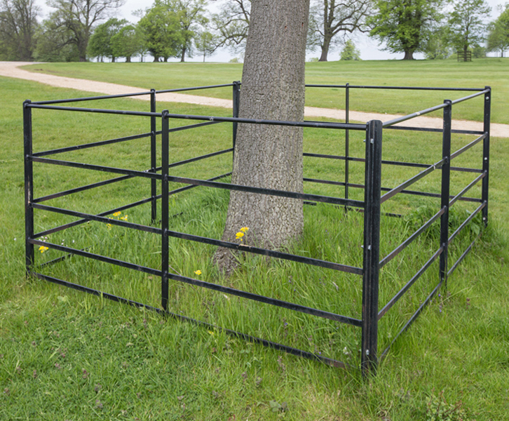 5-bar metal tree fences for mature tree protection | Paddock Fencing ...