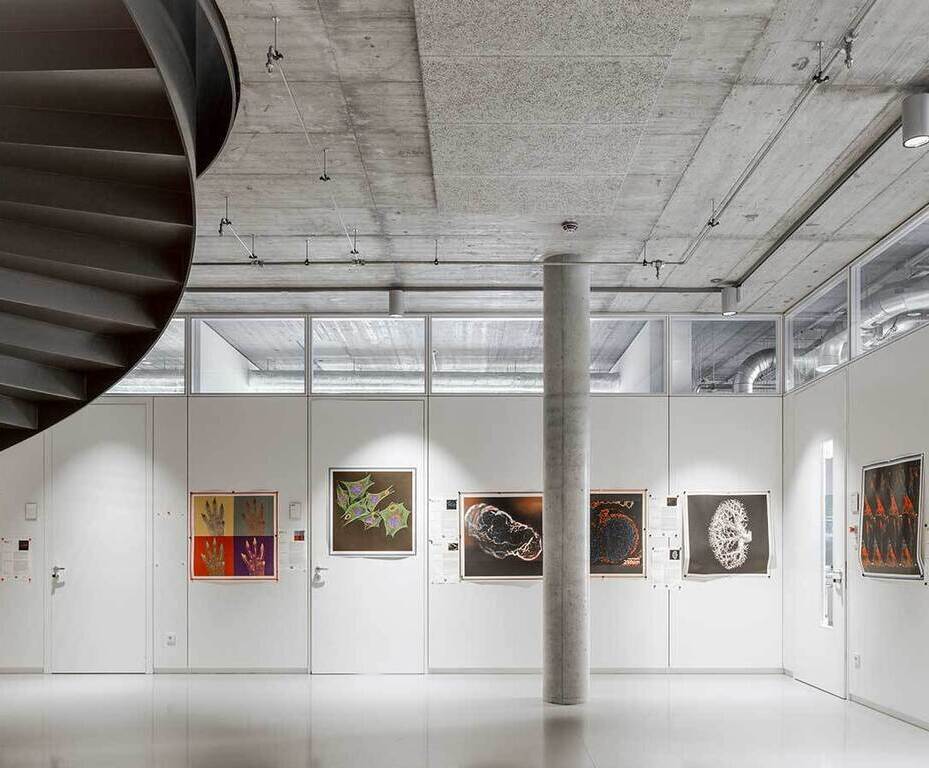 Logic metal partition walls | Lindner | ESI Building Design