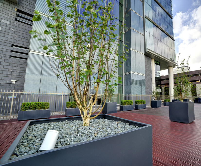 Large bespoke powder coated steel trough & tree planters | IOTA | ESI ...