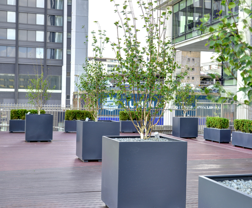Large bespoke powder coated steel trough & tree planters | IOTA | ESI ...