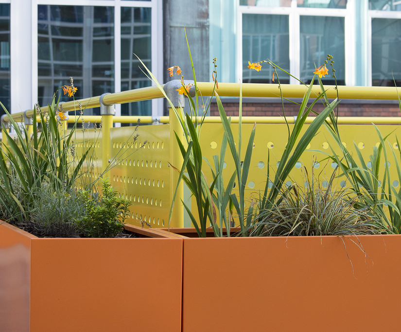 Custom coloured steel planters, University of Manchester | IOTA | ESI ...