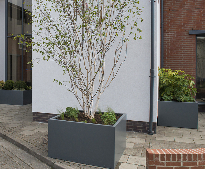 Bespoke steel tree planters | IOTA | ESI External Works