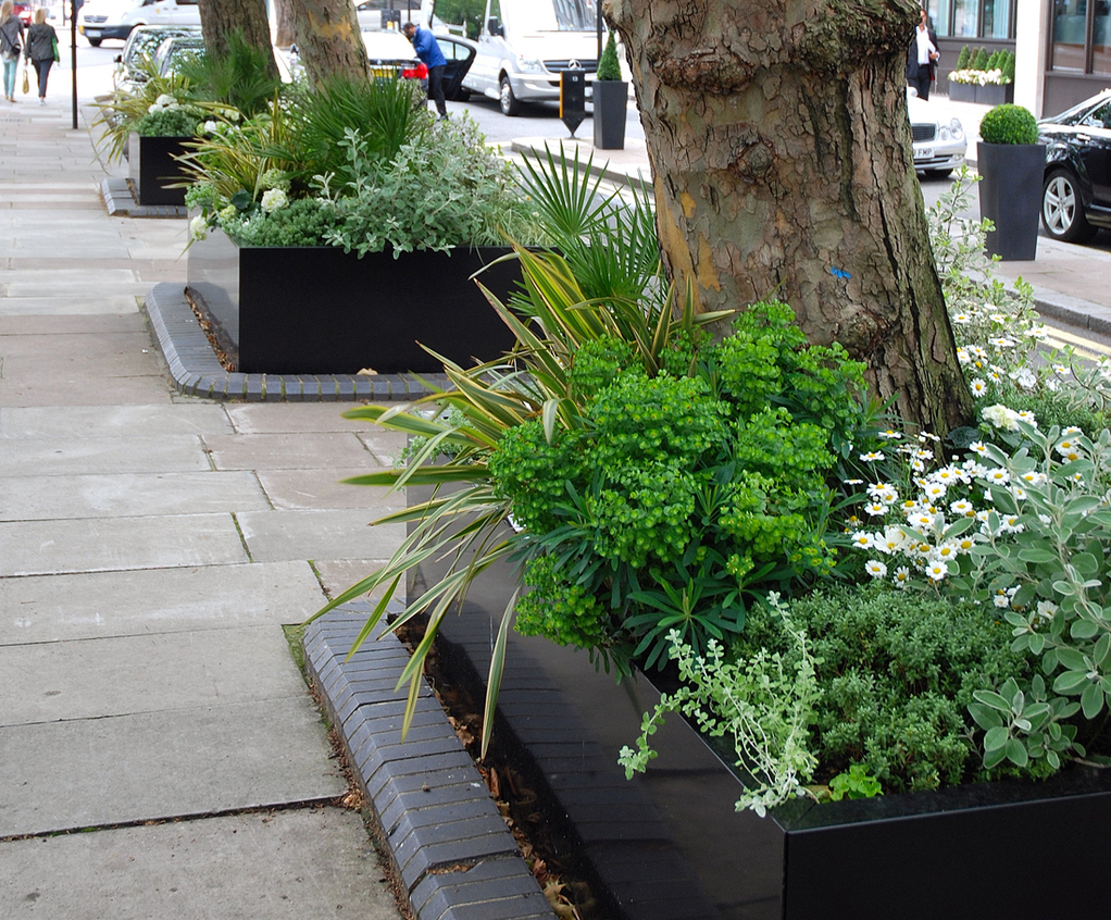 Bespoke steel tree planters for Park Lane hotel | IOTA | ESI External Works