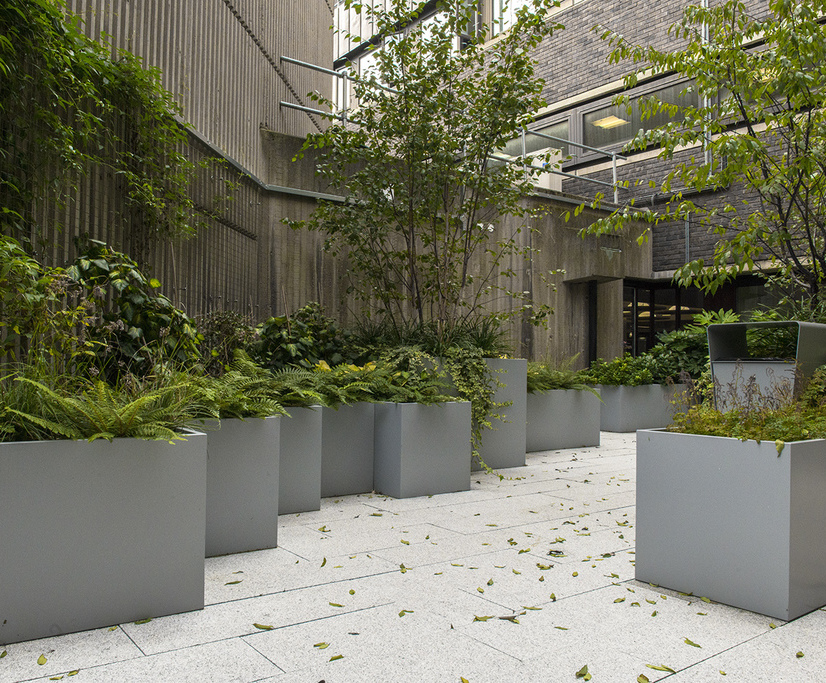 Bespoke steel planters - City, University of London | IOTA | ESI ...
