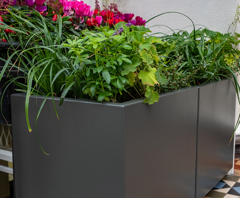 Aluminium large street planters - Motcomb St, London | IOTA | ESI ...