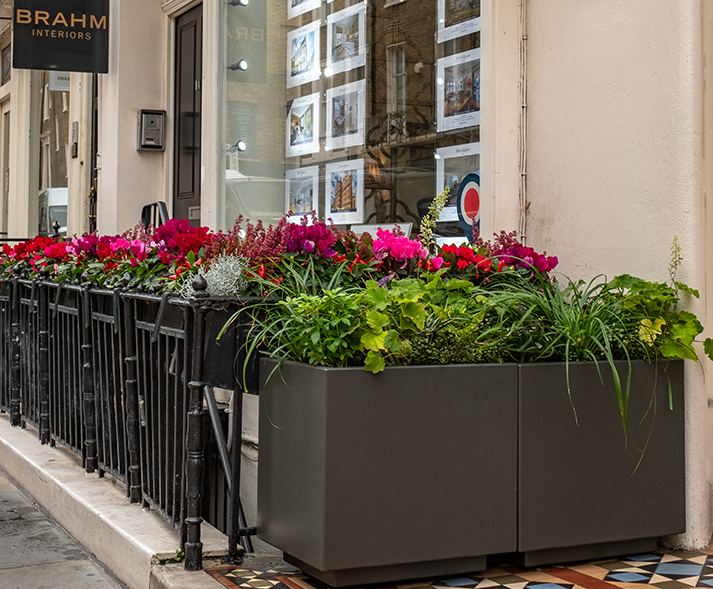 Aluminium large street planters - Motcomb St, London | IOTA | ESI ...