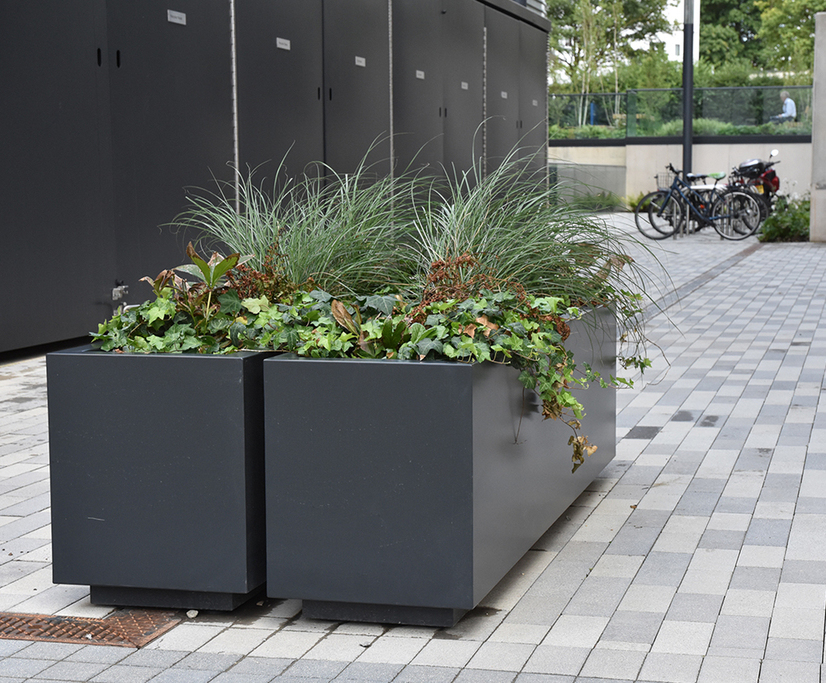 Shrub and tree planters - Big Data Institute, Oxford | IOTA | ESI ...