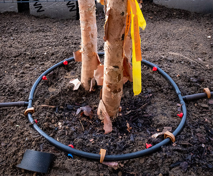 Bespoke tree planters for student accommodation, Oxford | IOTA | ESI ...