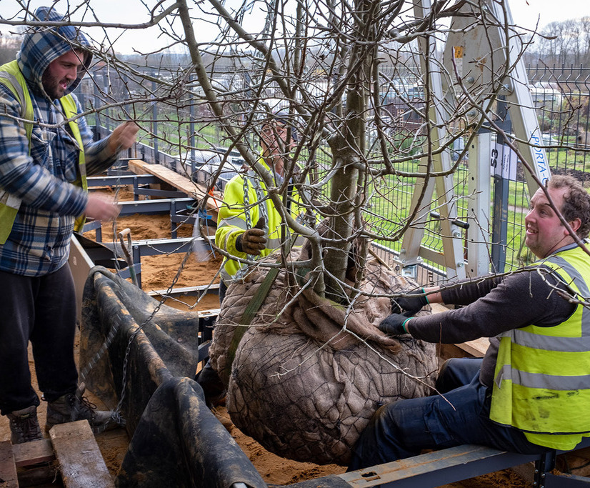 Bespoke tree planters for student accommodation, Oxford | IOTA | ESI ...